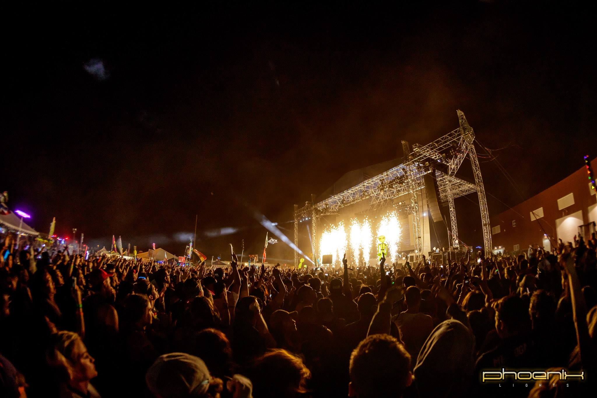 giphy - Festival Squad